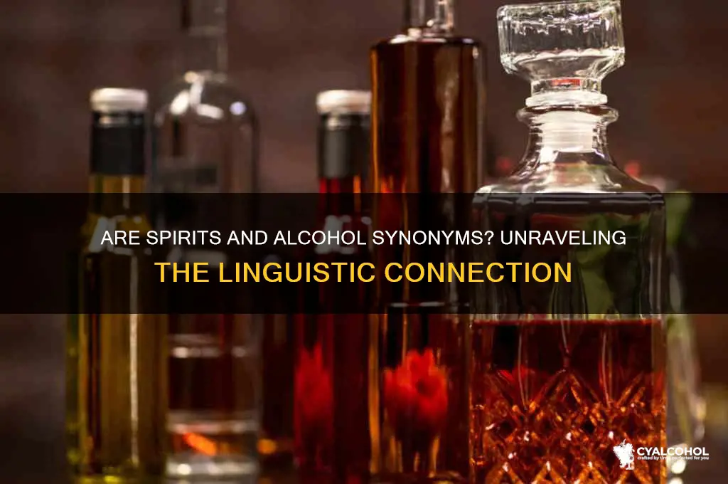Are Spirits And Alcohol Synonyms? Unraveling The Linguistic Connection ...