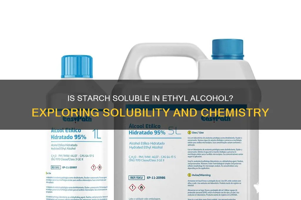 Is Starch Soluble In Ethyl Alcohol? Exploring Solubility And Chemistry ...