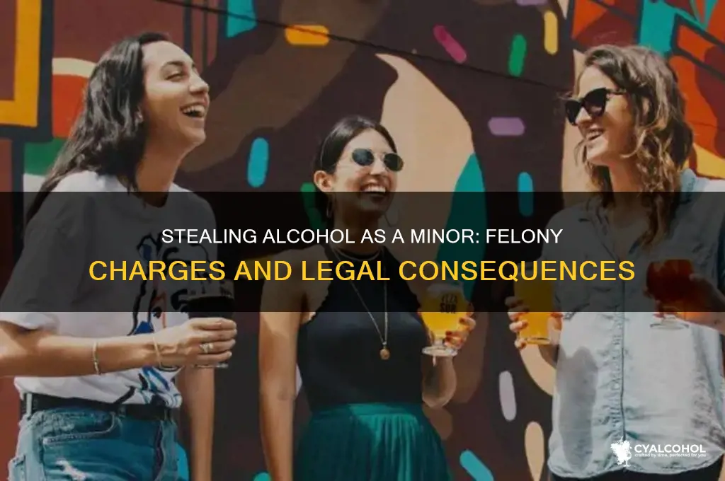 Stealing Alcohol As A Minor: Felony Charges And Legal Consequences ...