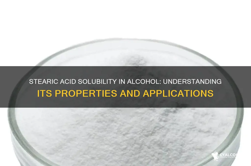 Stearic Acid Solubility In Alcohol: Understanding Its Properties And ...