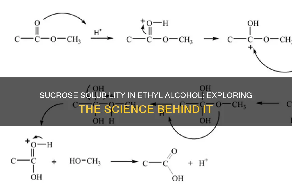 Sucrose Solubility In Ethyl Alcohol: Exploring The Science Behind It ...
