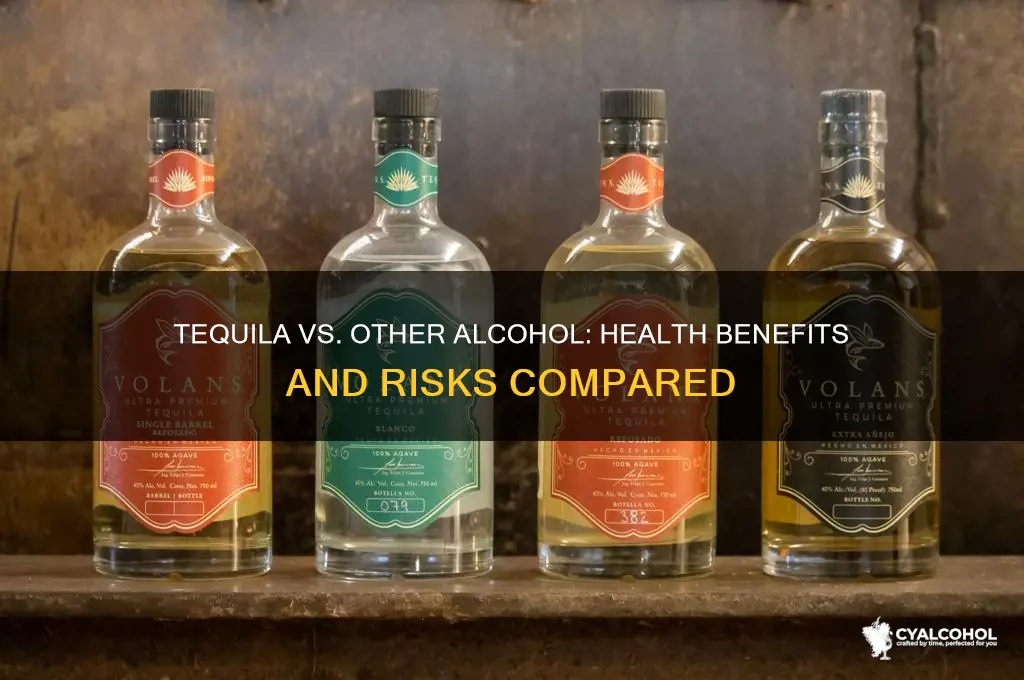 Tequila Vs. Other Alcohol: Health Benefits And Risks Compared | CyAlcohol