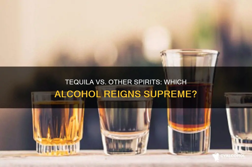 Tequila Vs. Other Spirits: Which Alcohol Reigns Supreme? | CyAlcohol
