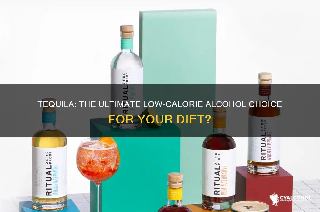 Tequila: The Ultimate Low-Calorie Alcohol Choice For Your Diet? | CyAlcohol