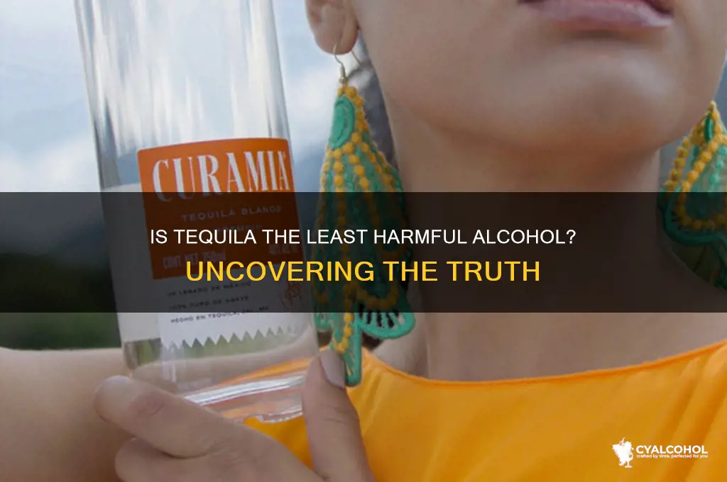 Is Tequila The Least Harmful Alcohol? Uncovering The Truth | CyAlcohol