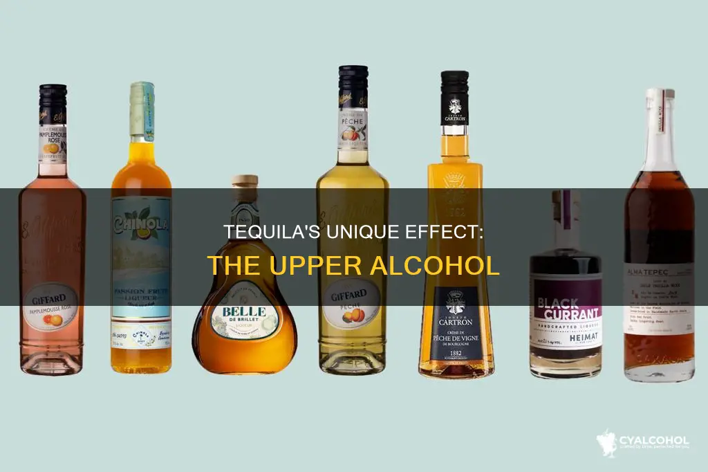 Tequila's Unique Effect: The Upper Alcohol | CyAlcohol