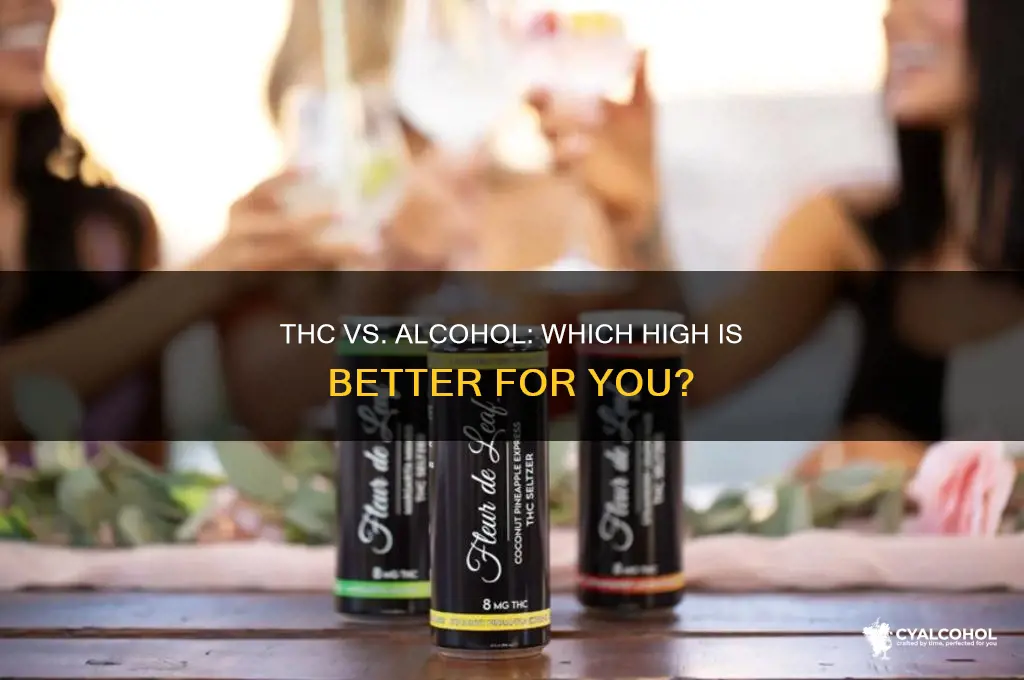 Thc Vs. Alcohol: Which High Is Better For You? | CyAlcohol