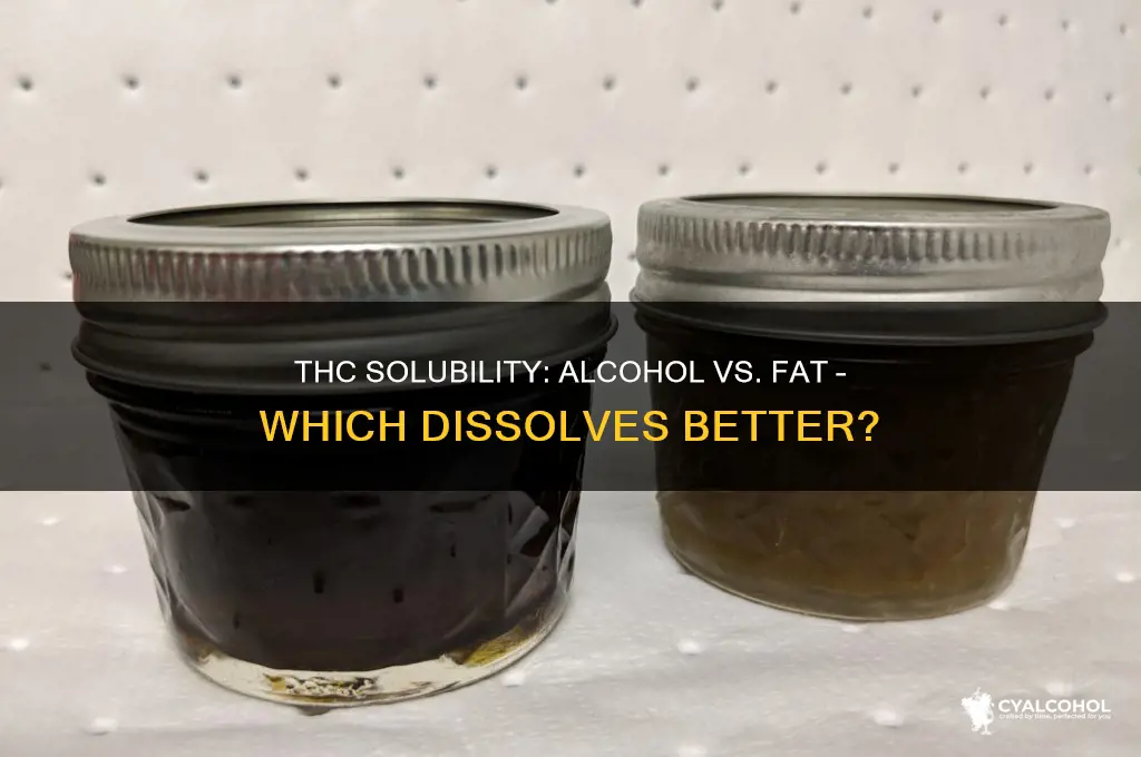 Thc Solubility: Alcohol Vs. Fat – Which Dissolves Better? | CyAlcohol