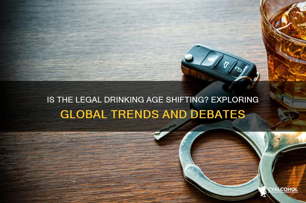 Is The Legal Drinking Age Shifting? Exploring Global Trends And Debates ...
