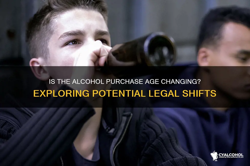 Is The Alcohol Purchase Age Changing? Exploring Potential Legal Shifts ...