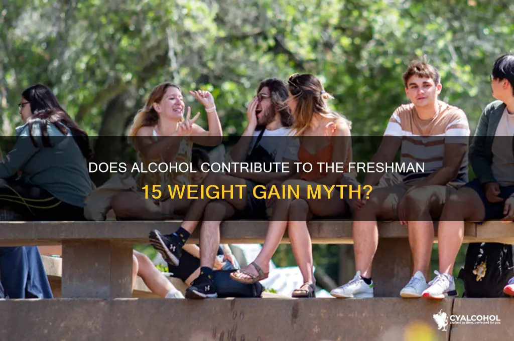 Does Alcohol Contribute To The Freshman 15 Weight Gain Myth? | CyAlcohol