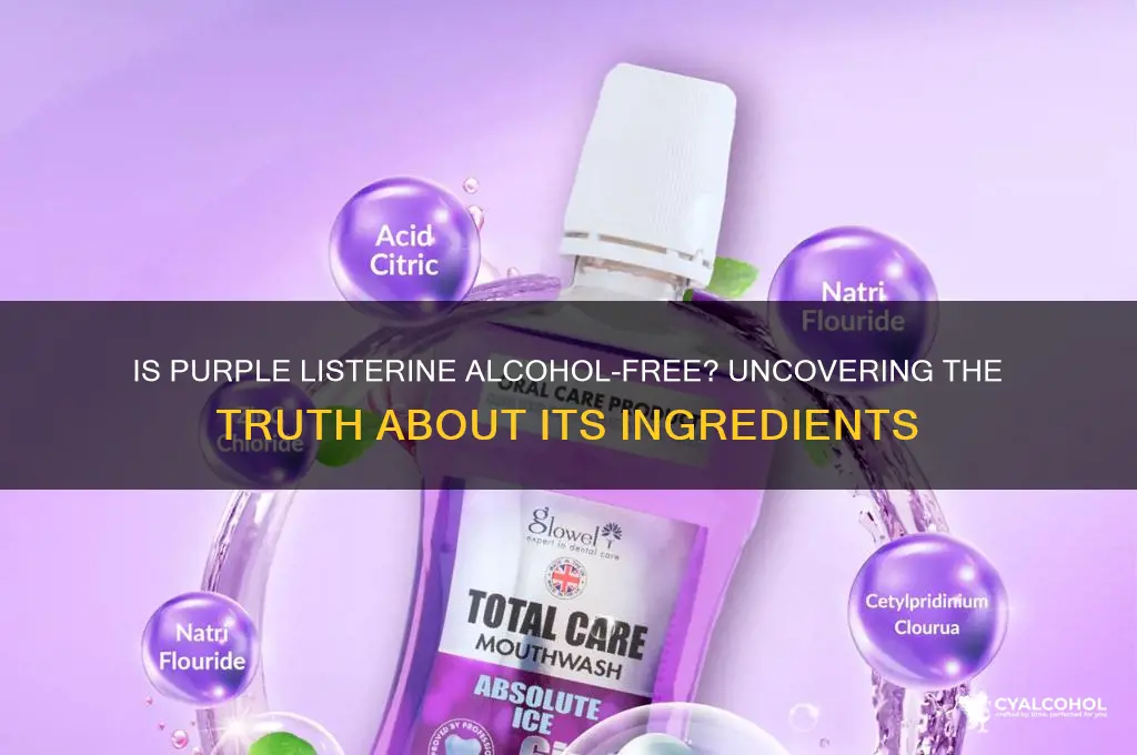 Is Purple Listerine Alcohol-Free? Uncovering The Truth About Its ...