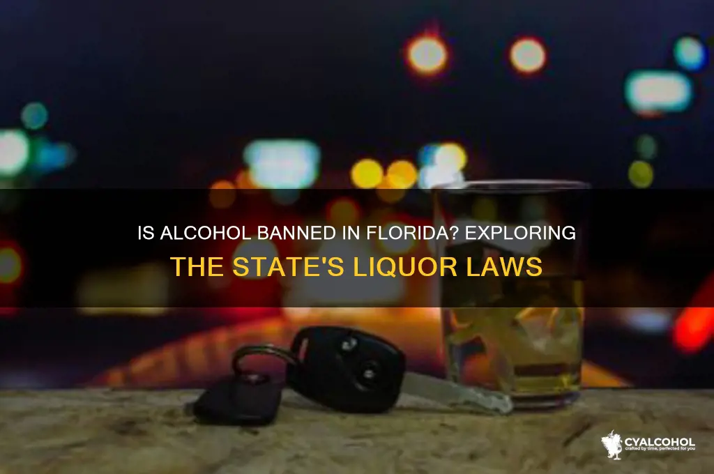 Is Alcohol Banned In Florida? Exploring The State's Liquor Laws | CyAlcohol