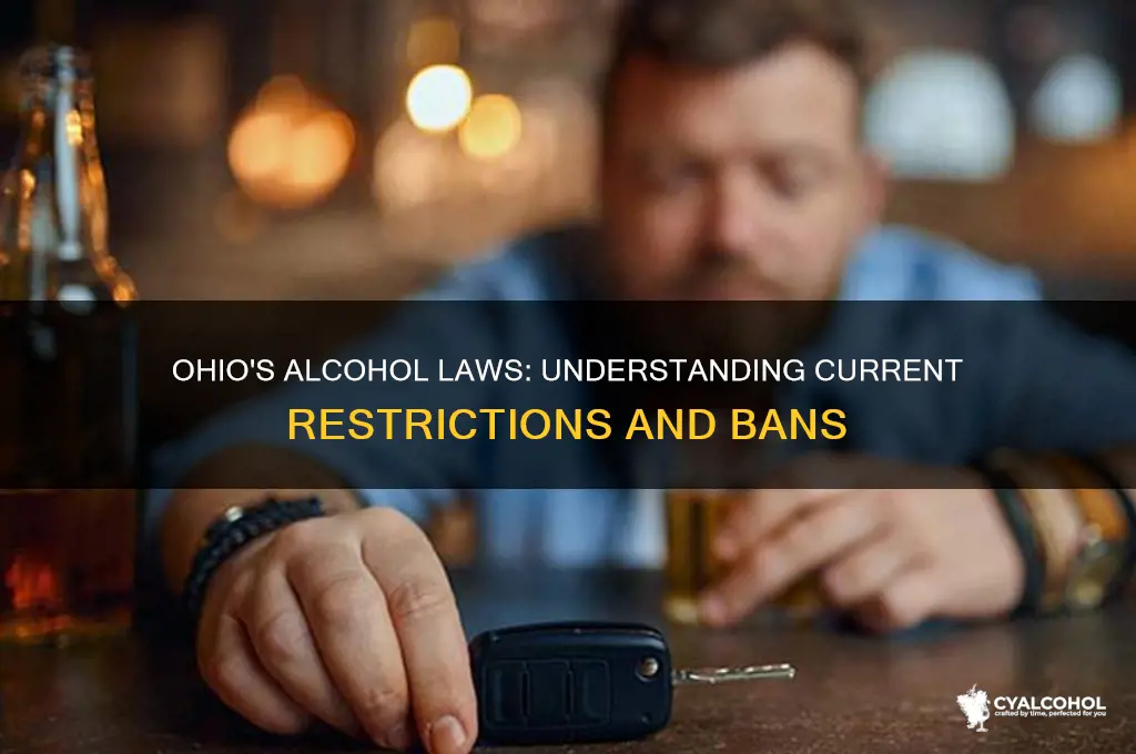 Ohio's Alcohol Laws: Understanding Current Restrictions And Bans ...