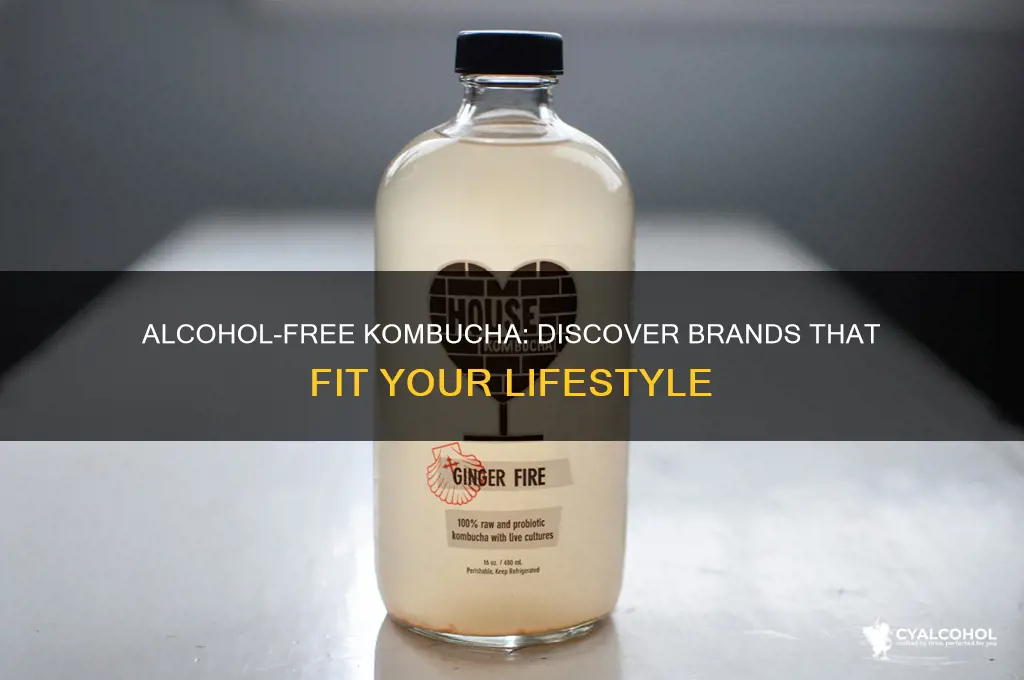 Alcohol-Free Kombucha: Discover Brands That Fit Your Lifestyle | CyAlcohol
