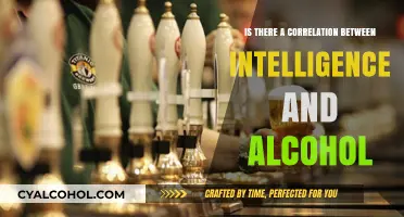 Hydroxyl Vs. Alcohol: Understanding The Key Differences And ...