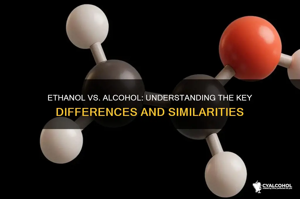 Ethanol Vs. Alcohol: Understanding The Key Differences And Similarities ...