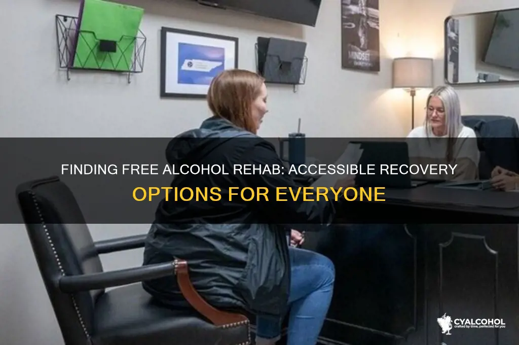 Finding Free Alcohol Rehab: Accessible Recovery Options For Everyone ...