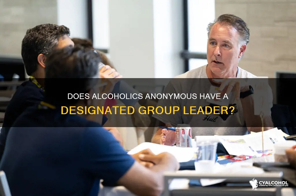Does Alcoholics Anonymous Have A Designated Group Leader? | CyAlcohol
