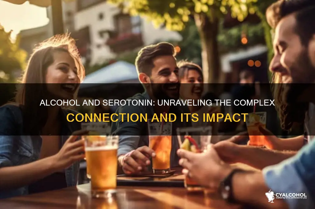 Alcohol And Serotonin: Unraveling The Complex Connection And Its Impact ...