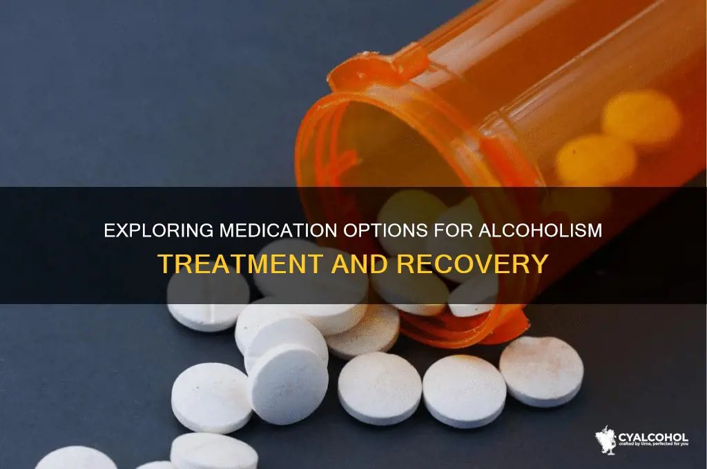 Exploring Medication Options For Alcoholism Treatment And Recovery ...