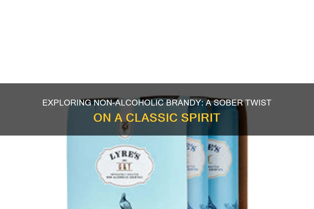 Exploring Non-Alcoholic Brandy: A Sober Twist On A Classic Spirit ...