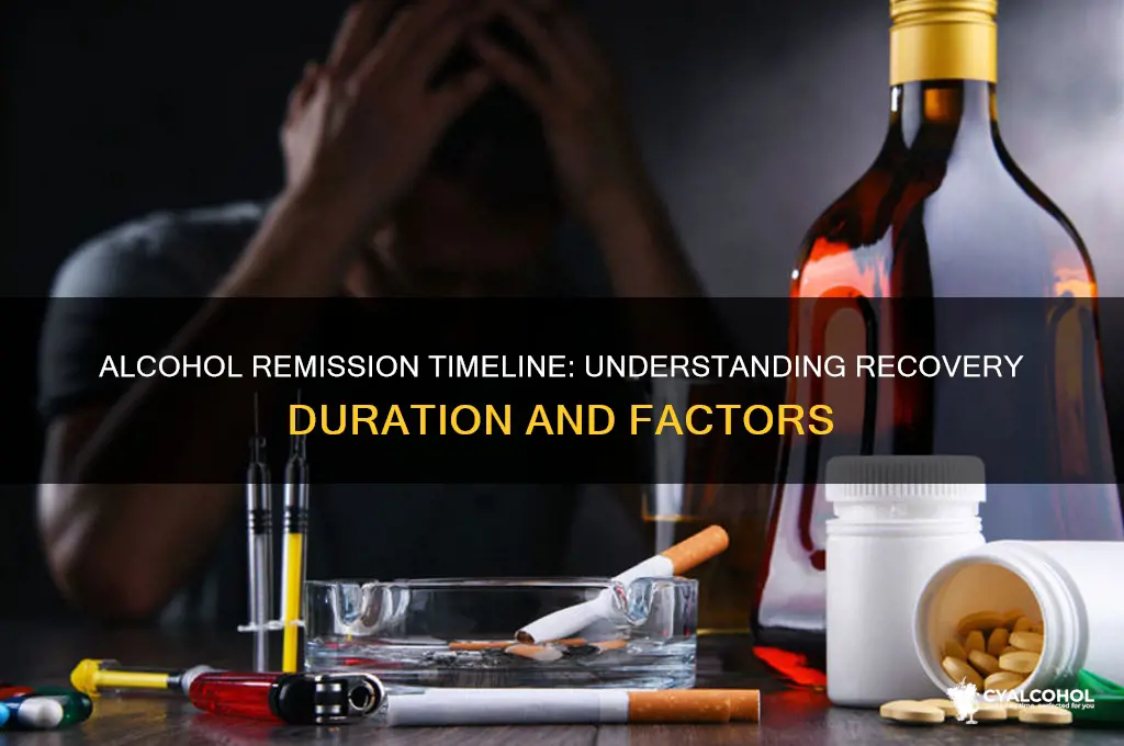 Alcohol Remission Timeline: Understanding Recovery Duration And Factors ...