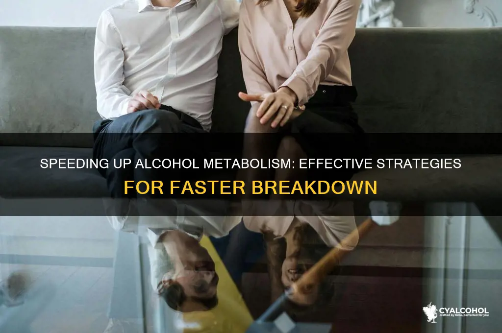 Speeding Up Alcohol Metabolism: Effective Strategies For Faster ...