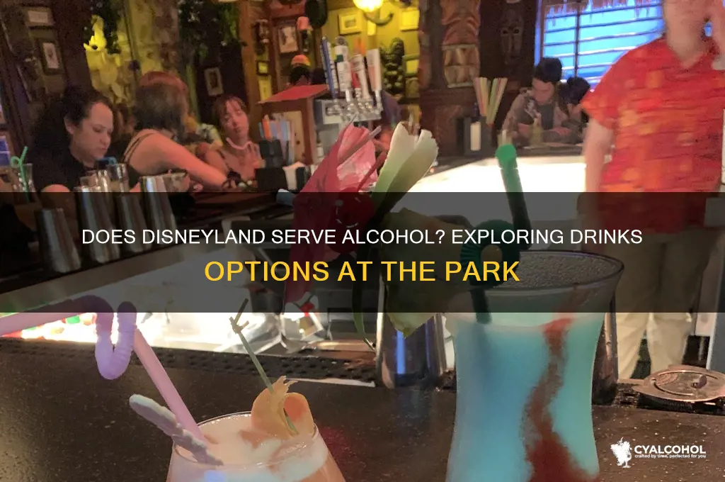Does Disneyland Serve Alcohol? Exploring Drinks Options At The Park ...