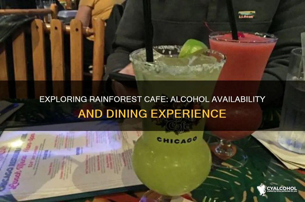 Exploring Rainforest Cafe: Alcohol Availability And Dining Experience ...