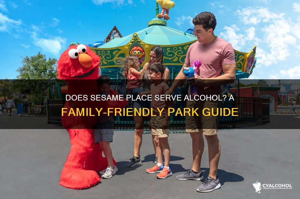 Does Sesame Place Serve Alcohol? A Family-Friendly Park Guide | CyAlcohol