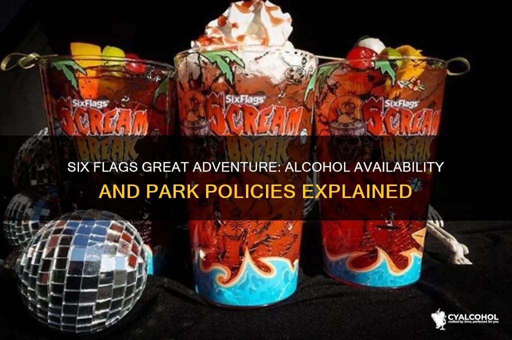 Six Flags Great Adventure: Alcohol Availability And Park Policies ...
