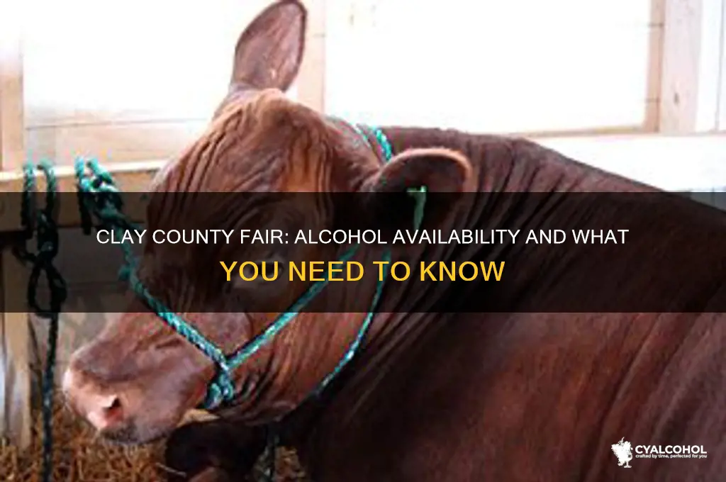 Clay County Fair: Alcohol Availability And What You Need To Know ...