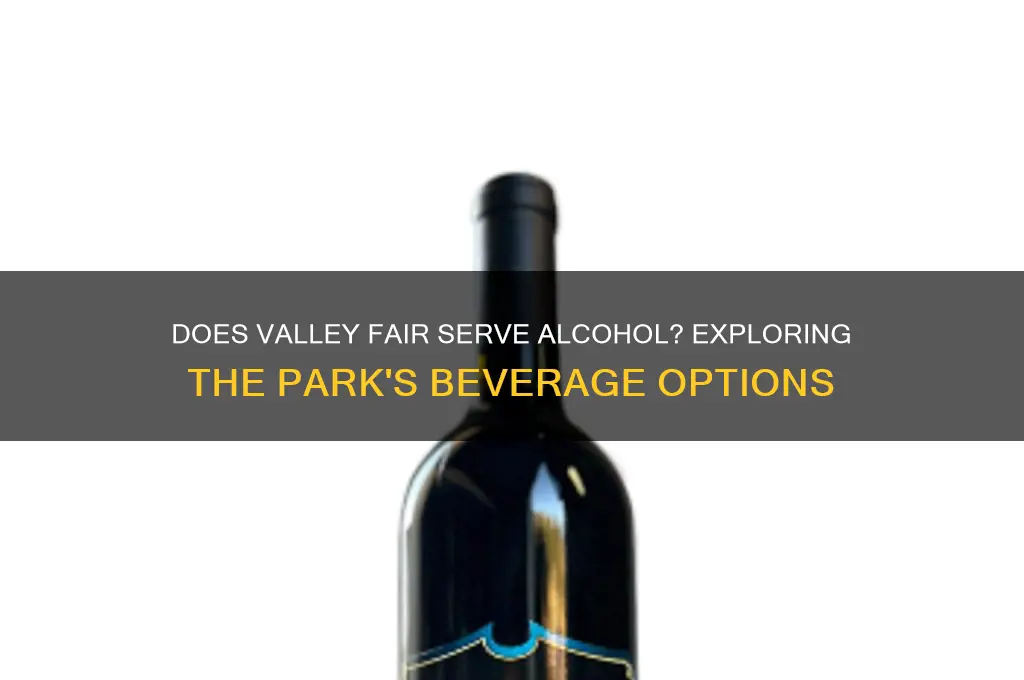 Does Valley Fair Serve Alcohol? Exploring The Park's Beverage Options ...