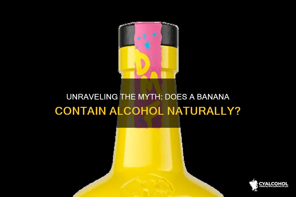 Unraveling The Myth: Does A Banana Contain Alcohol Naturally? | CyAlcohol