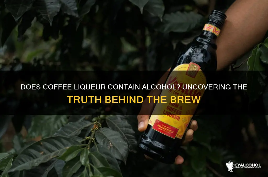 Does Coffee Liqueur Contain Alcohol? Uncovering The Truth Behind The ...