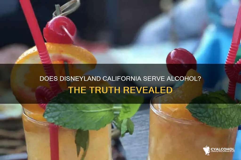 Does Disneyland California Serve Alcohol? The Truth Revealed | CyAlcohol