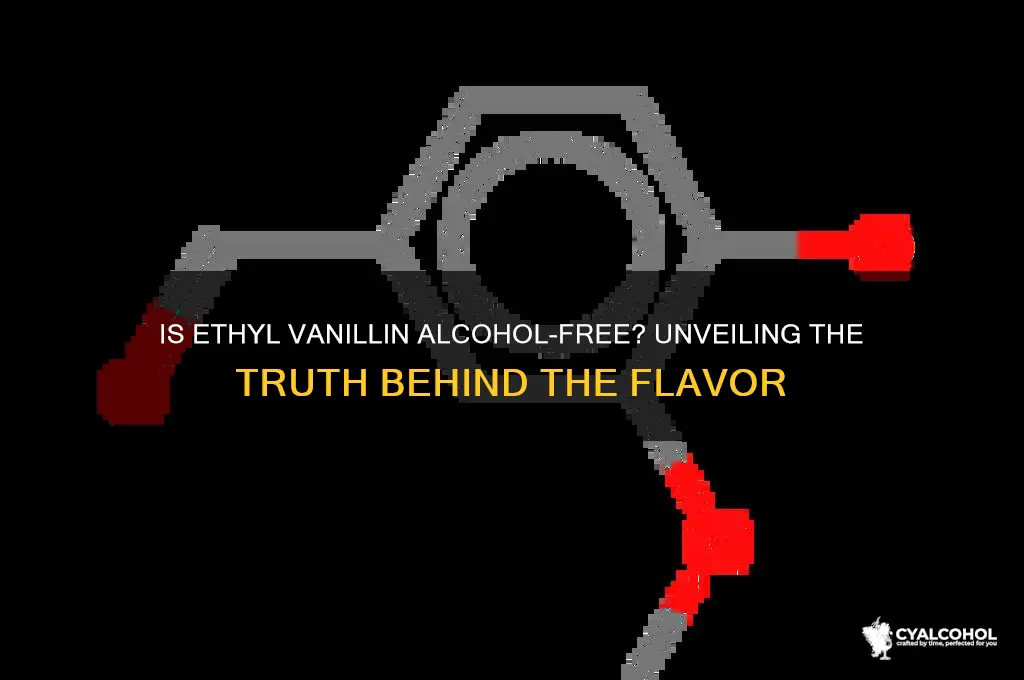 Is Ethyl Vanillin Alcohol-Free? Unveiling The Truth Behind The Flavor ...