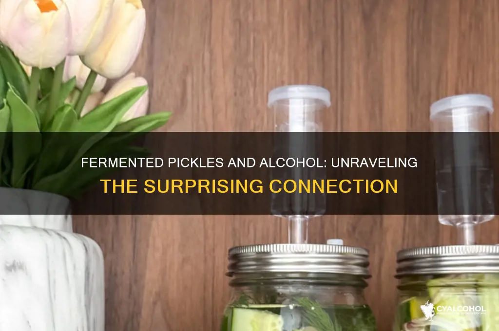 Fermented Pickles And Alcohol: Unraveling The Surprising Connection ...