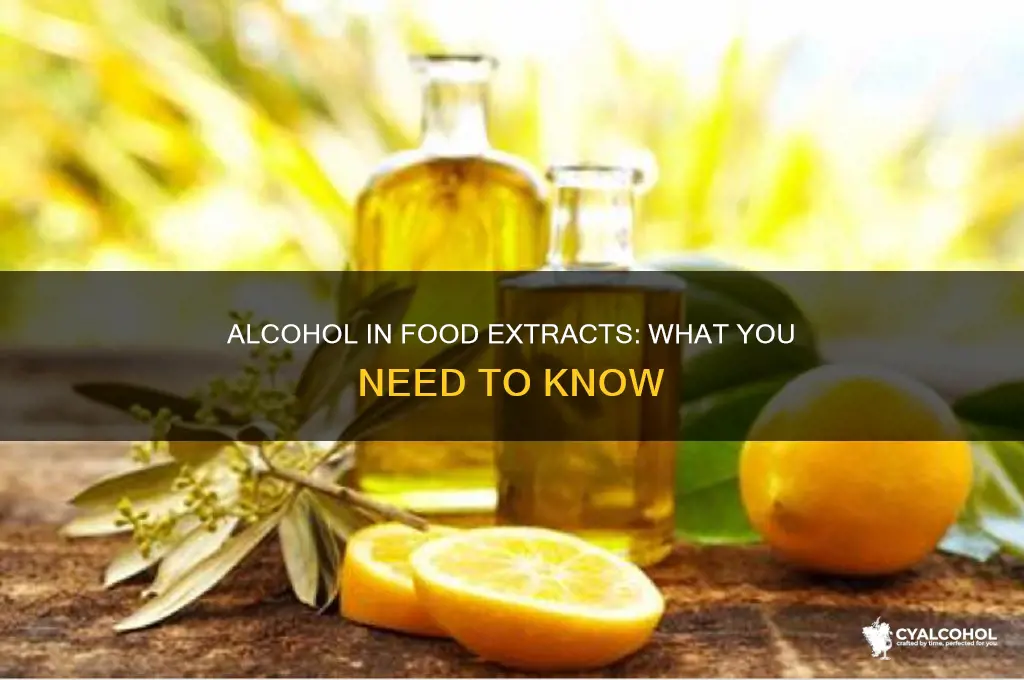 Alcohol In Food Extracts: What You Need To Know | CyAlcohol