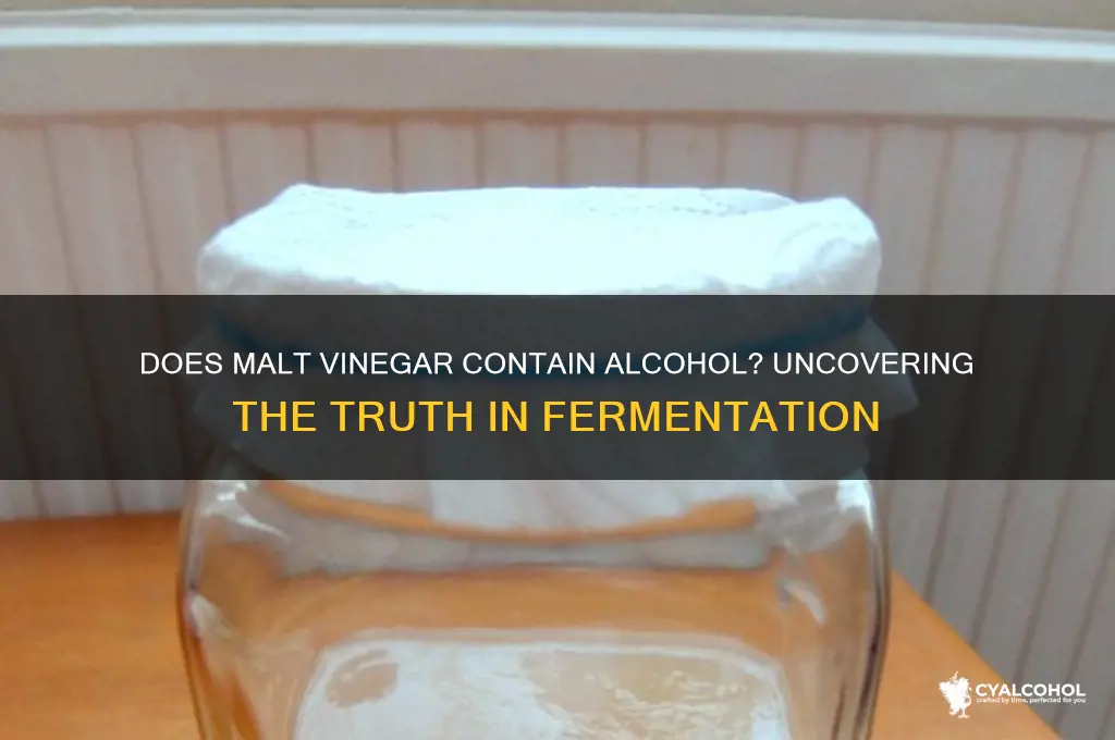 Does Malt Vinegar Contain Alcohol? Uncovering The Truth In Fermentation ...