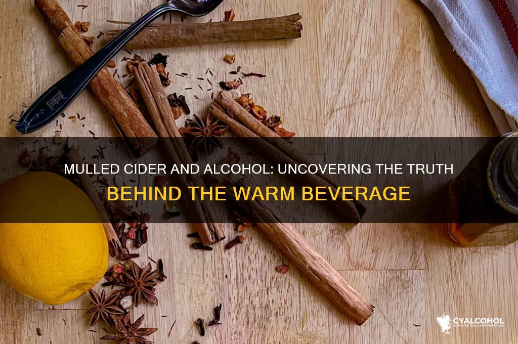 Mulled Cider And Alcohol: Uncovering The Truth Behind The Warm Beverage ...