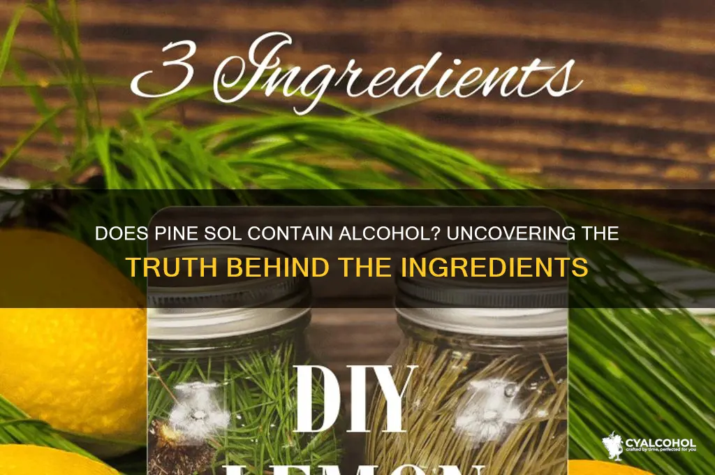Does Pine Sol Contain Alcohol? Uncovering The Truth Behind The ...