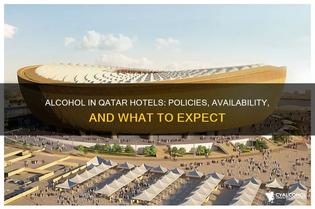 Alcohol In Qatar Hotels: Policies, Availability, And What To Expect ...