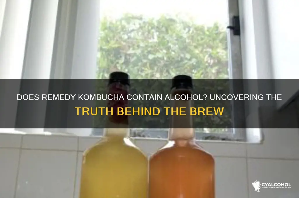Does Remedy Kombucha Contain Alcohol? Uncovering The Truth Behind The ...