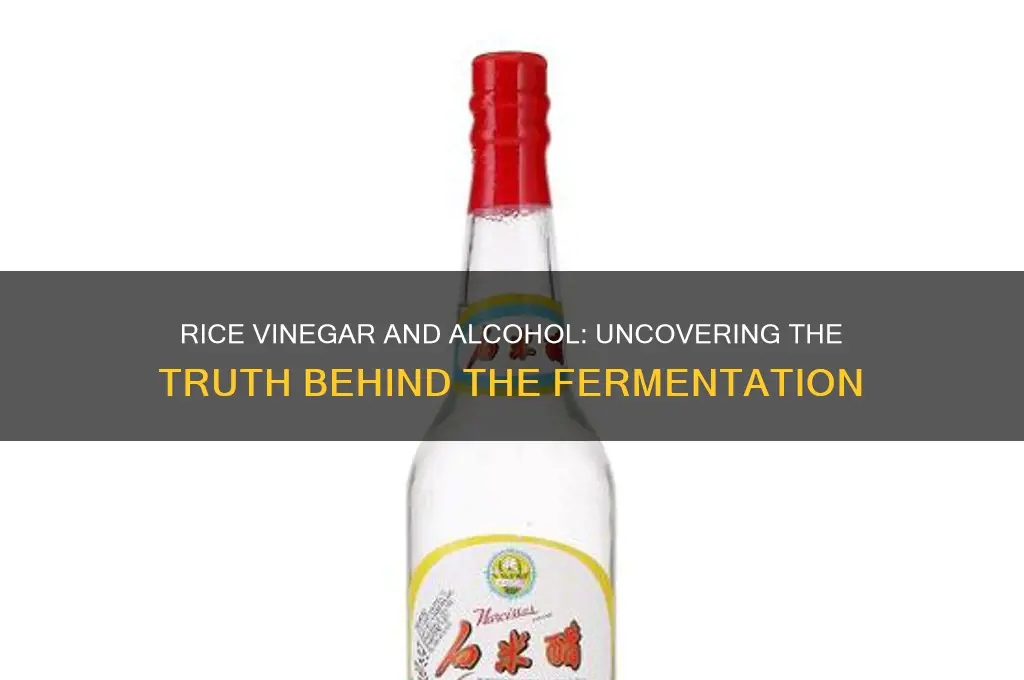 Rice Vinegar And Alcohol: Uncovering The Truth Behind The Fermentation ...