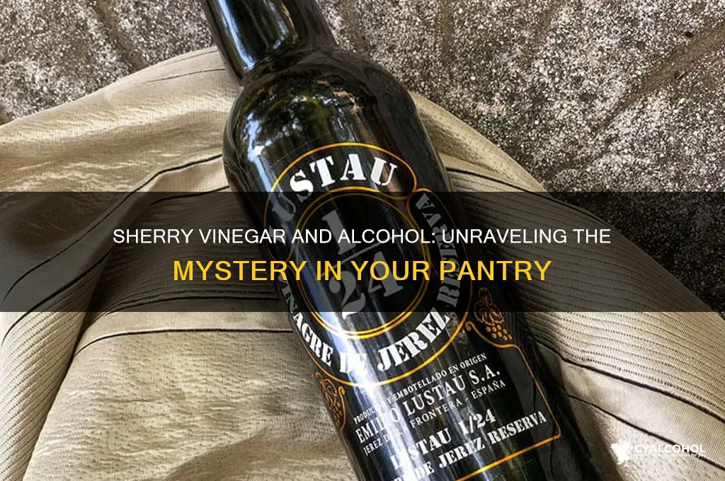 Sherry Vinegar And Alcohol: Unraveling The Mystery In Your Pantry ...