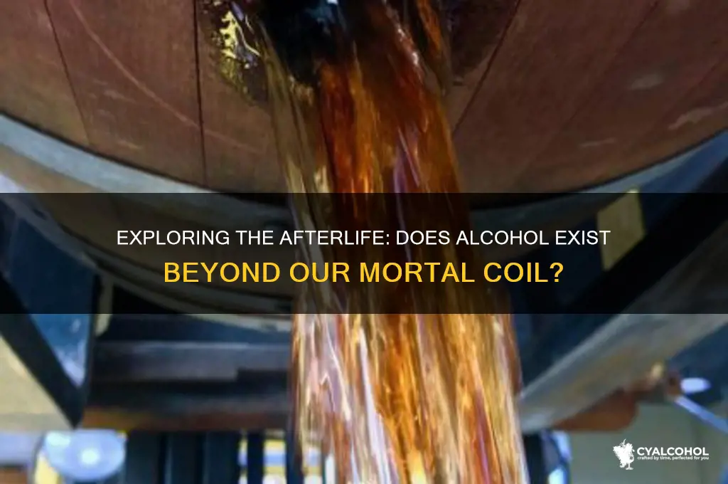 Exploring The Afterlife: Does Alcohol Exist Beyond Our Mortal Coil ...