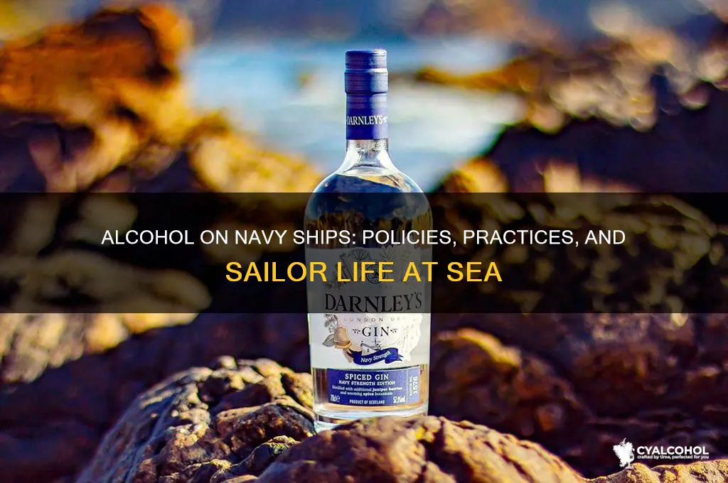 Alcohol On Navy Ships: Policies, Practices, And Sailor Life At Sea ...