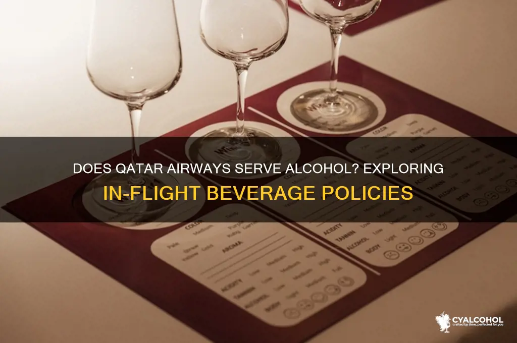 Does Qatar Airways Serve Alcohol? Exploring In-Flight Beverage Policies ...